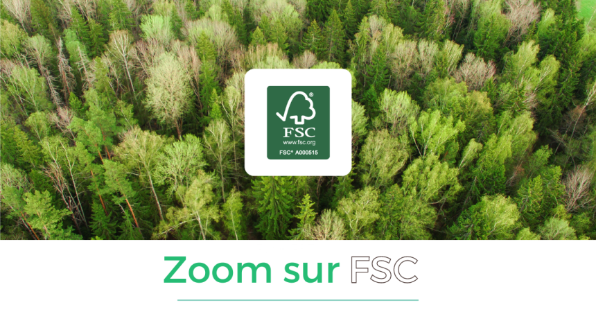 🔎 ZOOM SUR FSC ® – un label pour la Gestion forestière durable | Ecocert