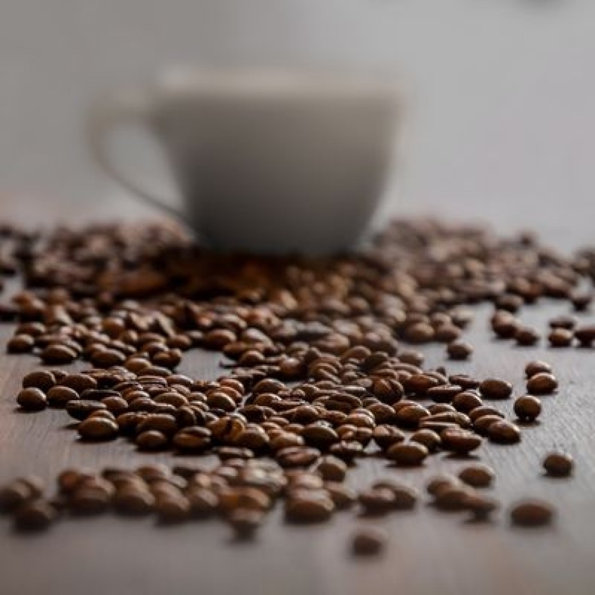 Café ecológico: o que é, como produzir e qual a importância de ...