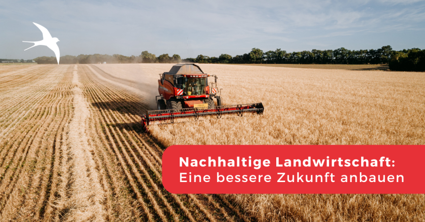 Nachhaltige Landwirtschaft: Eine bessere Zukunft anbauen | Ecocert