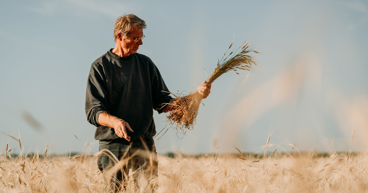 What is an input ? | Ecocert